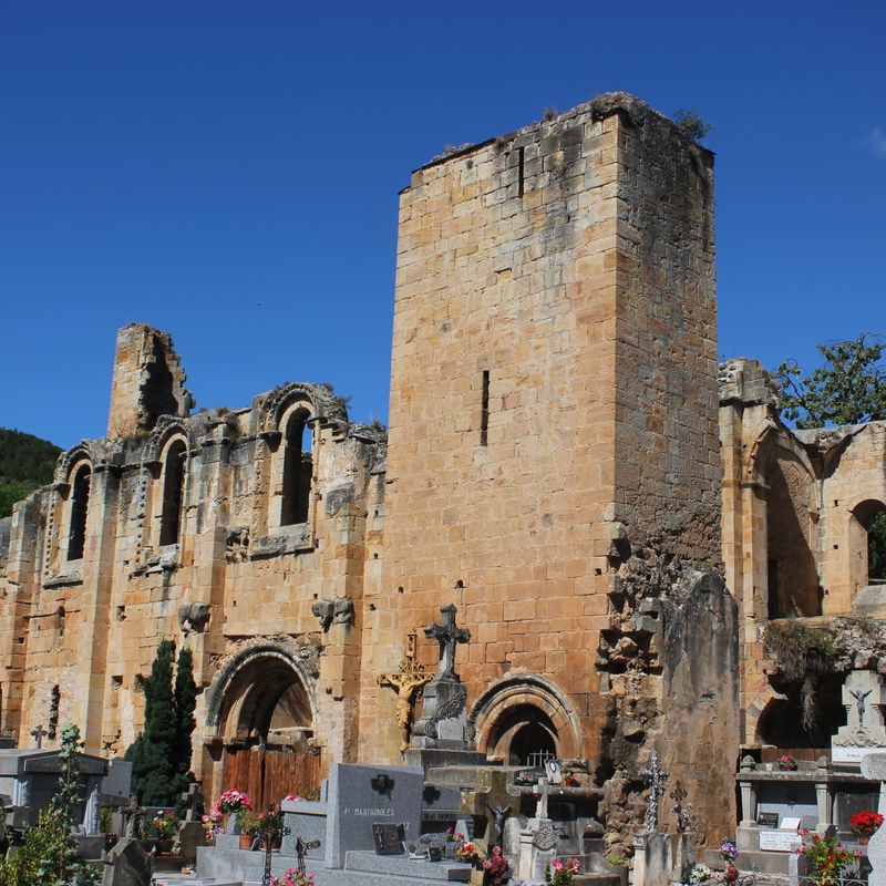 Alet Cathedral - Monastery ruins and cathedral in Alet-les-Bains, France