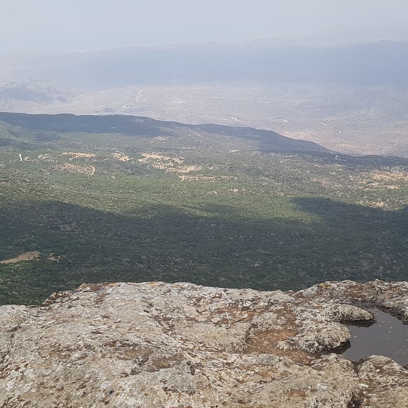 Daallo Mountain - Zone protégée dans la région de Sanaag, Somalie.
