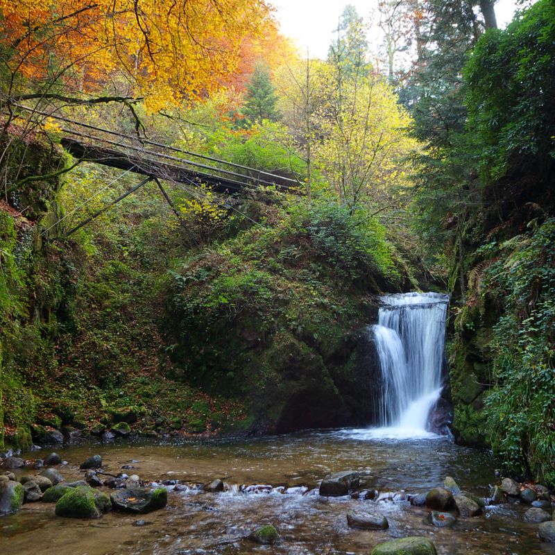 Geroldsau Waterfall - Monument naturel à Baden-Baden, Allemagne.